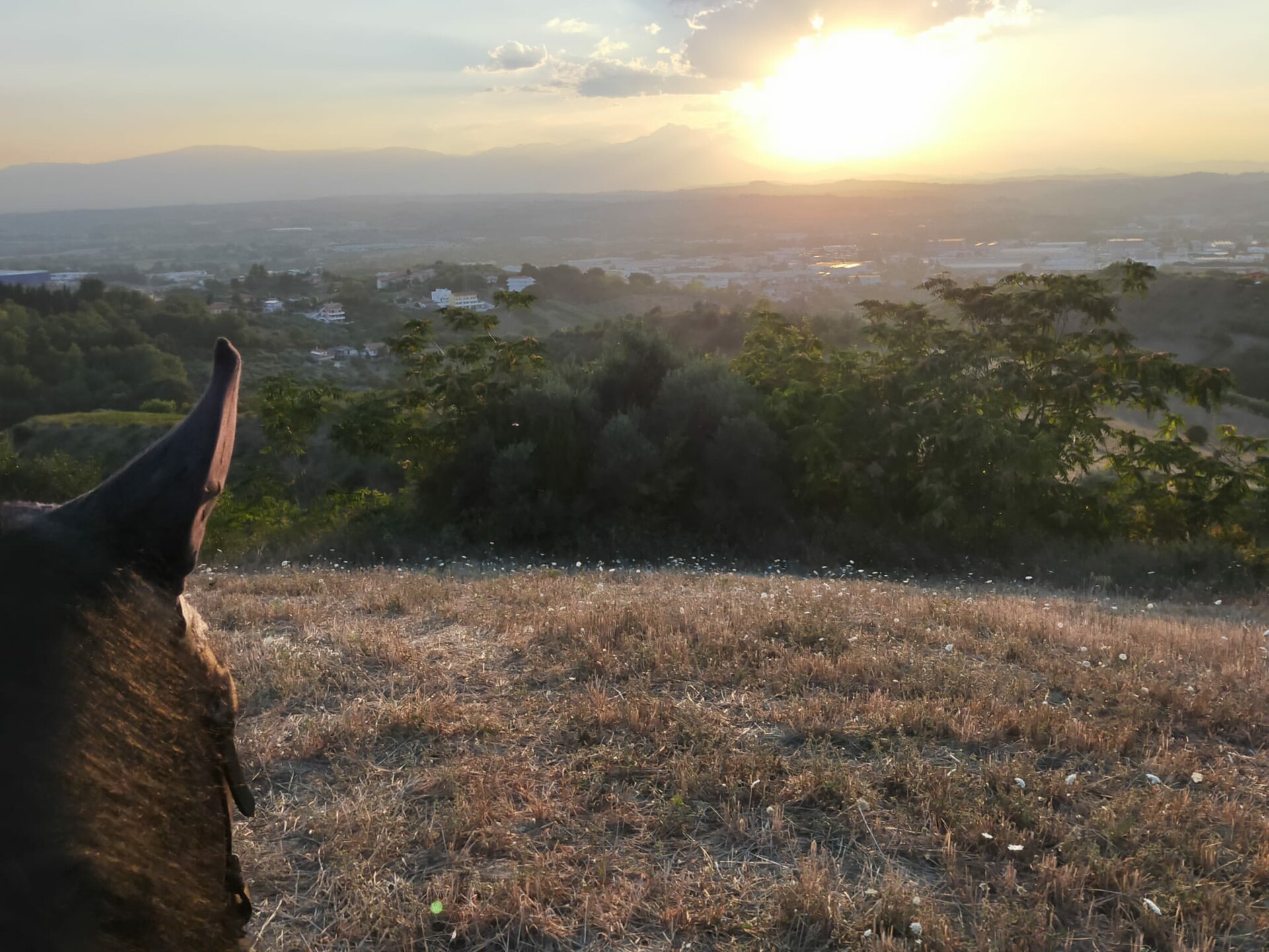 Cavallo e spa ad un passo dalla città in Abruzzo • Majellando